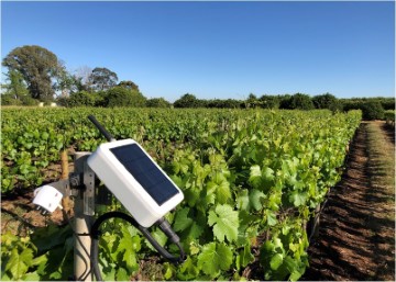 Leaf Temperature – Nu-Tech International